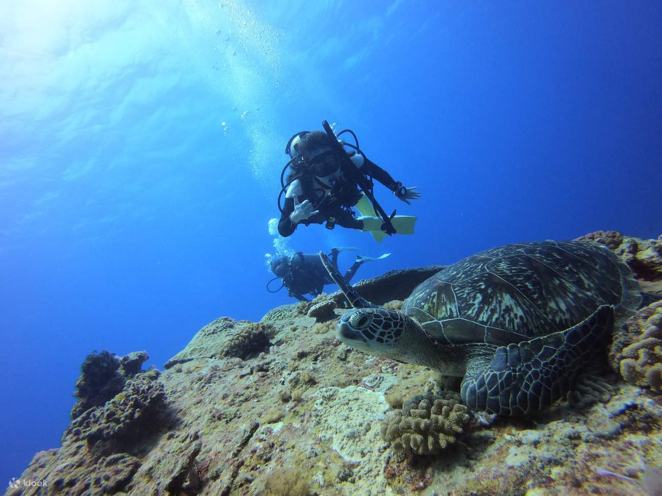 [Green Island Diving] Taitung Green Island Lansha Dive Center 4 days 3 ...